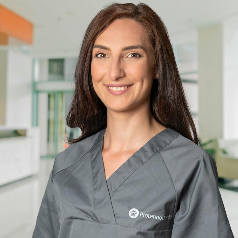 Telemedizin für Haustiere | Pfotendoctor